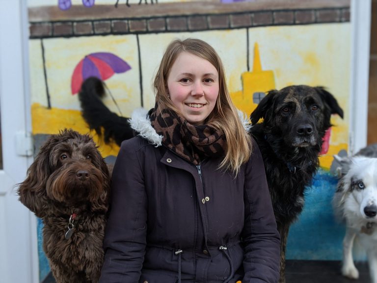 Our Dog Day Care, Boarding, Grooming & Therapy Teams - Happi Days