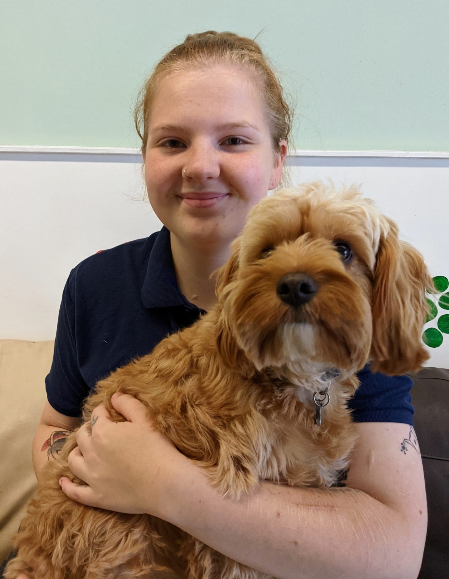 Our Dog Day Care & Grooming Teams | Happi Days